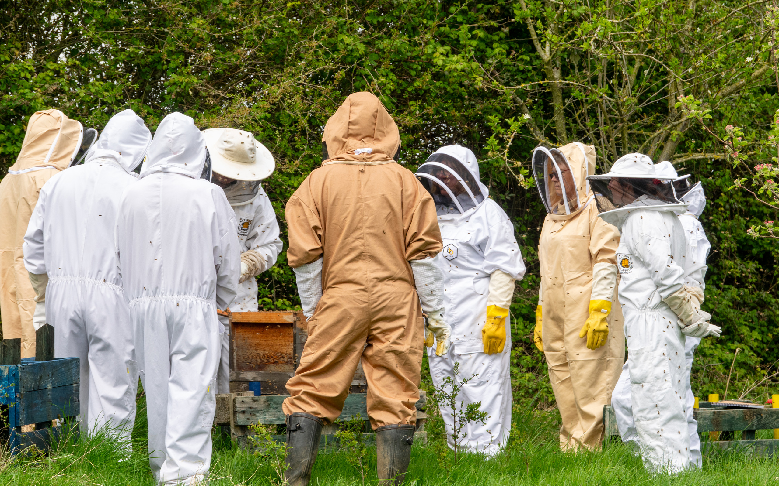 Beekeeping for Beginners | FarmED - Farm & Food Education | England