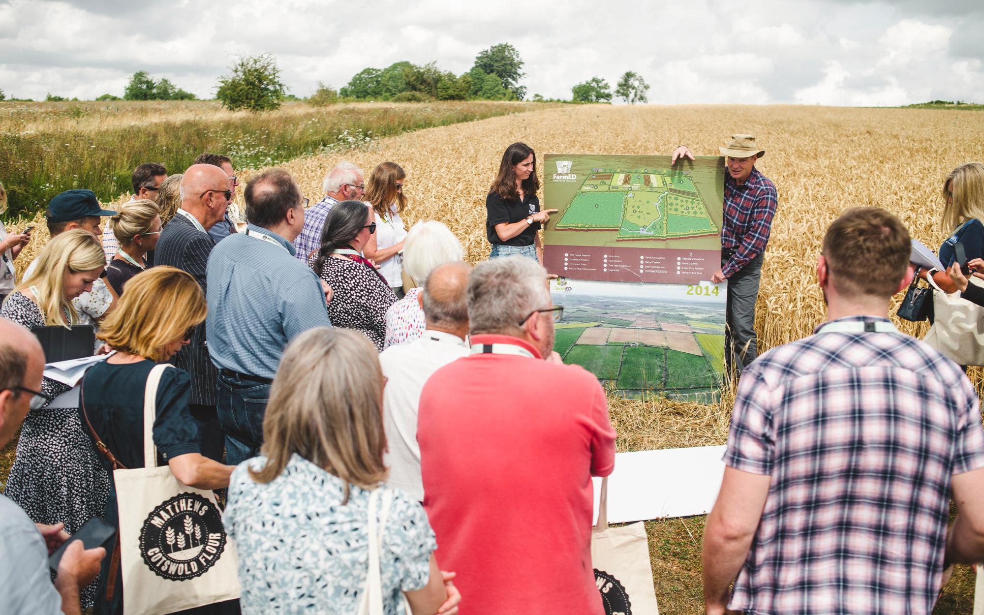 Friday Farm Walk | FarmED - Farm & Food Education | England