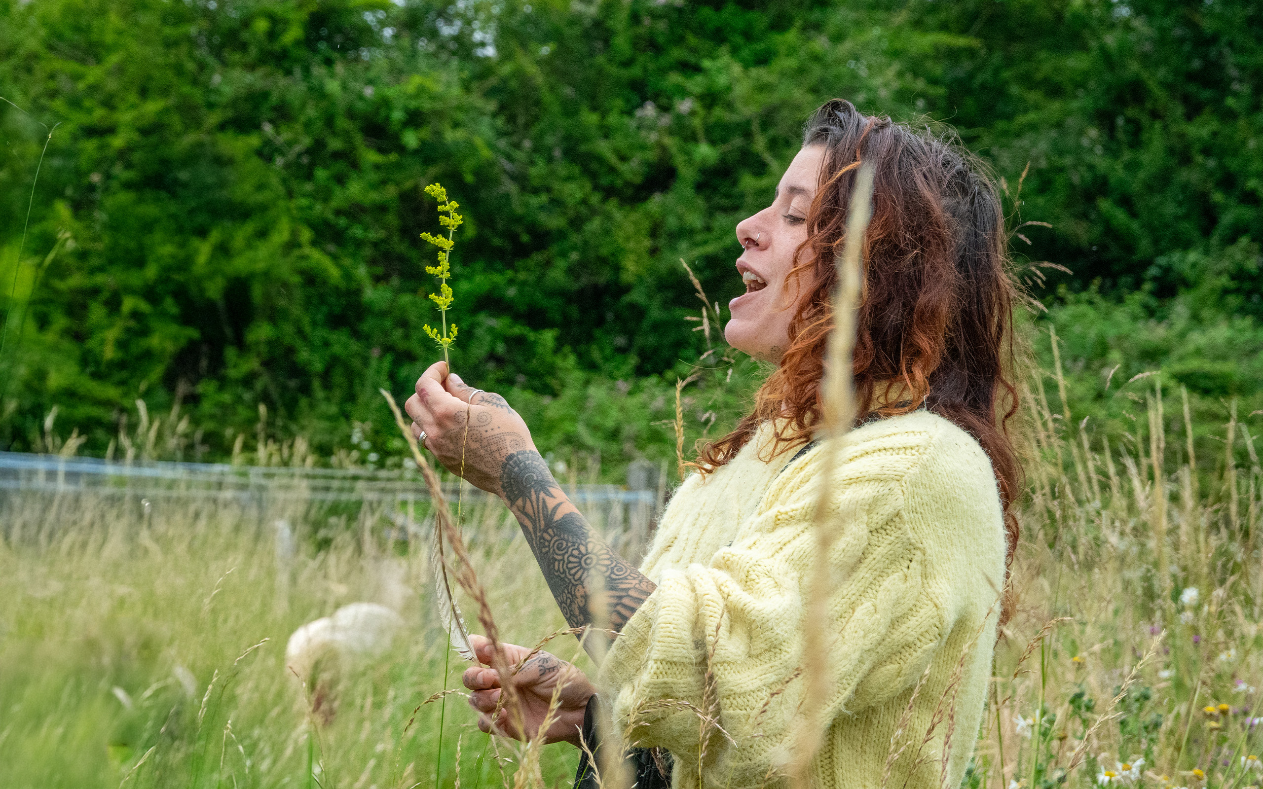 Spring Foraging Farm Walk | FarmED - Farm & Food Education | England