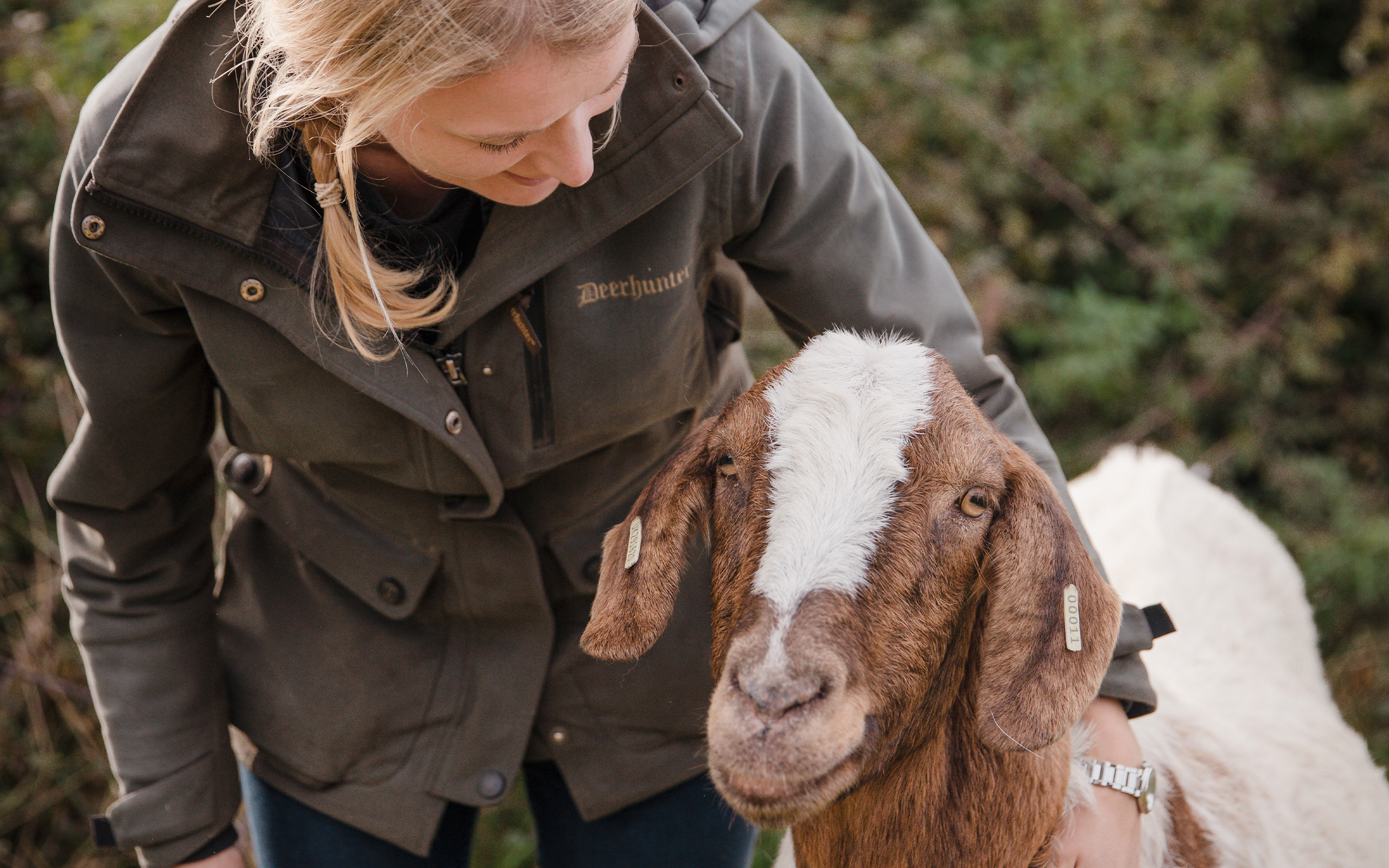 Goats for Beginners | FarmED - Farm & Food Education | England