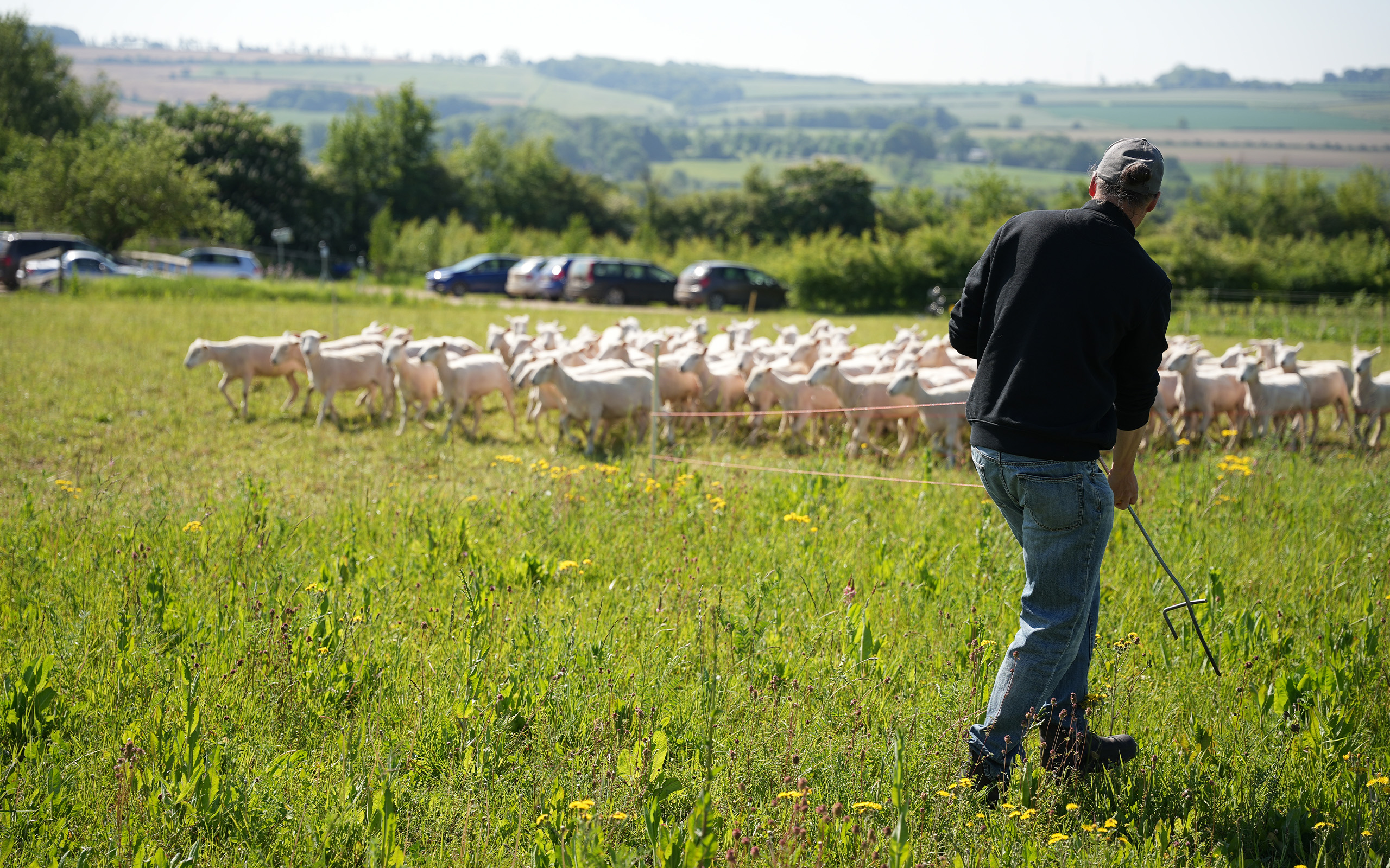 Holistic Planned Grazing with Rob Havard | FarmED - Farm & Food ...