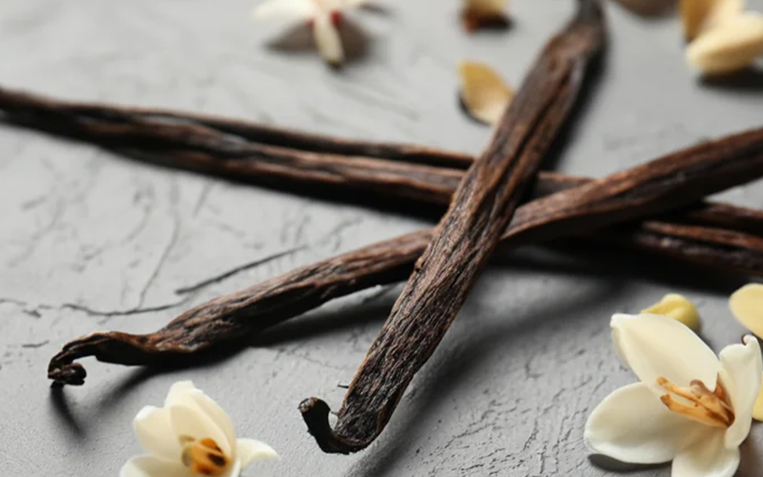 Vanilla’s Journey: From Bloom to Bean | FarmED - Farm & Food Education ...