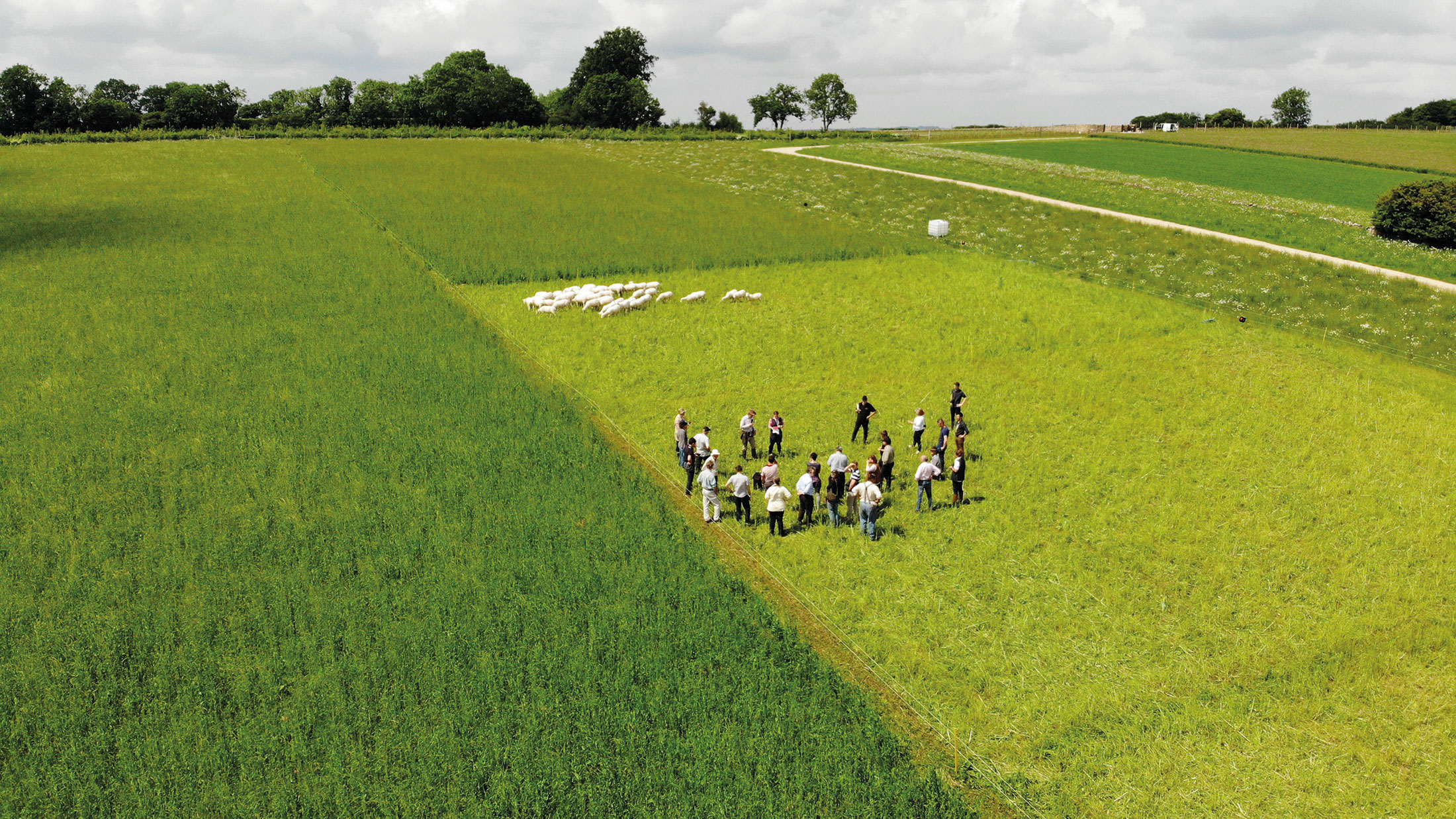 Collaborators and Partners | FarmED - Farm & Food Education | England